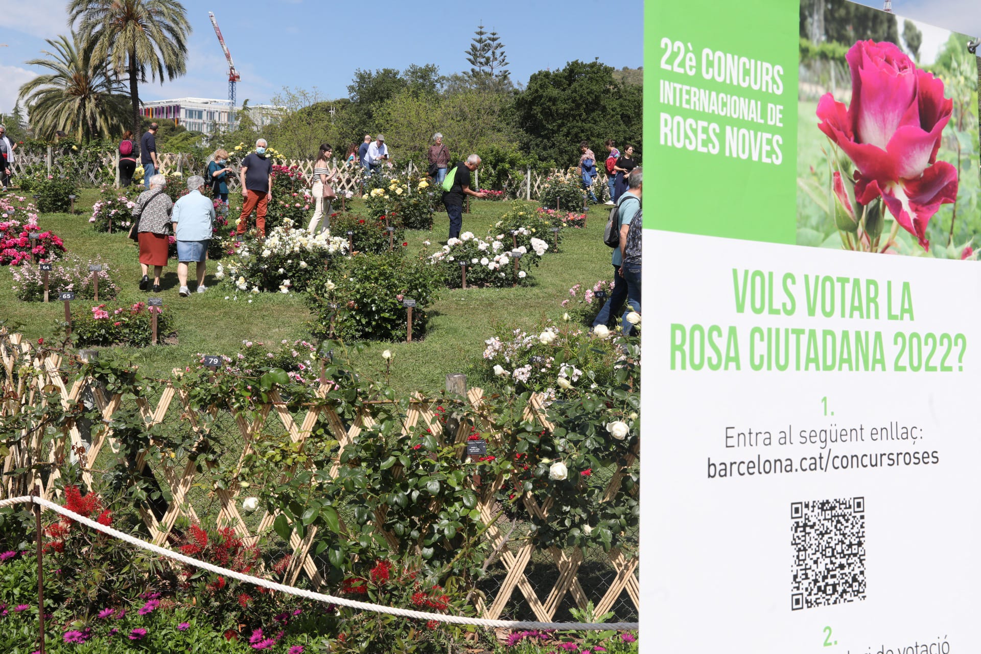 Se inaugura el espacio de memoria de las Catorce Rosas en la rosaleda ...