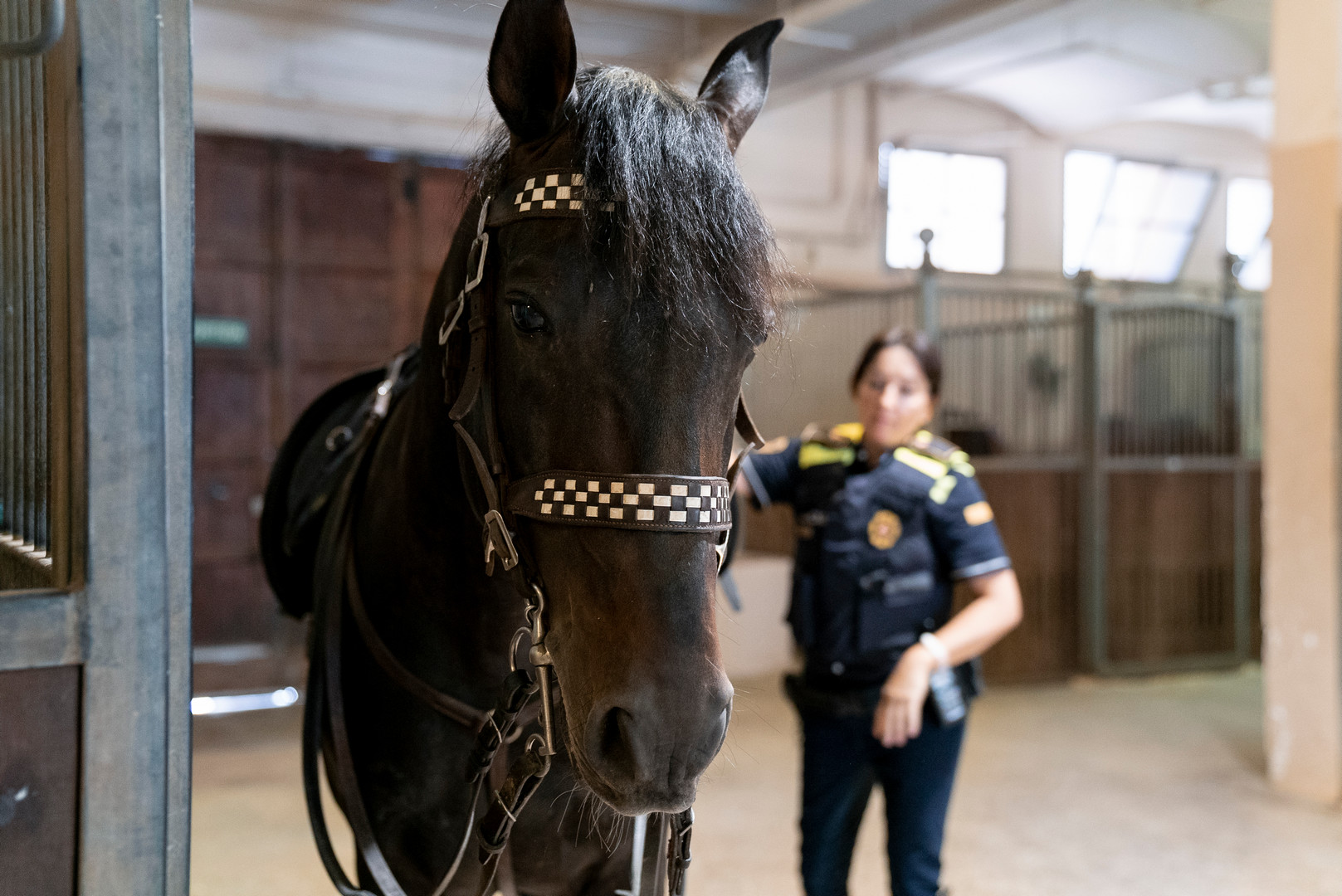 Puertas abiertas a las caballerizas de la Guardia Urbana para el 48 H ...