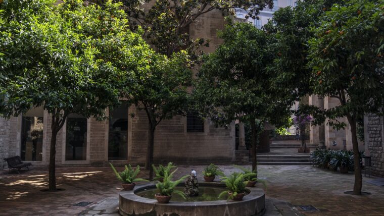 El MUHBA se renueva para celebrar sus 80 años | Barcelona International ...